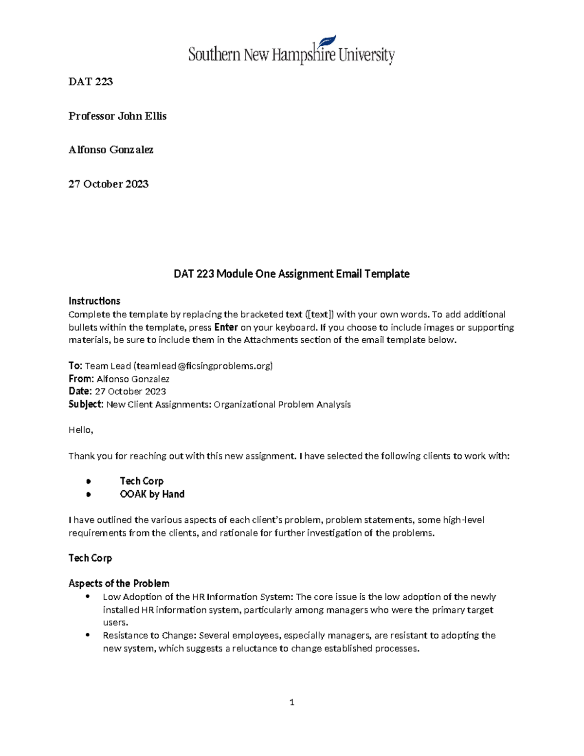 Module one assignment - To add additional bullets within the template ...