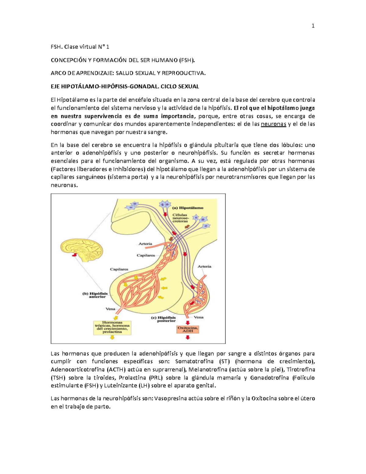 CL-N-1-EJE-HHO- Ciclo- Sexual 1 - FSH. Clase virtual N° 1 CONCEPCIÓN Y ...