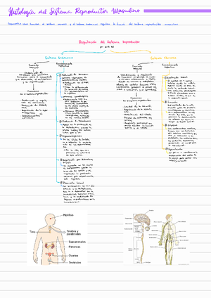 A New Flexible Optical Fiber Goniometer for Dynamic Angular ...