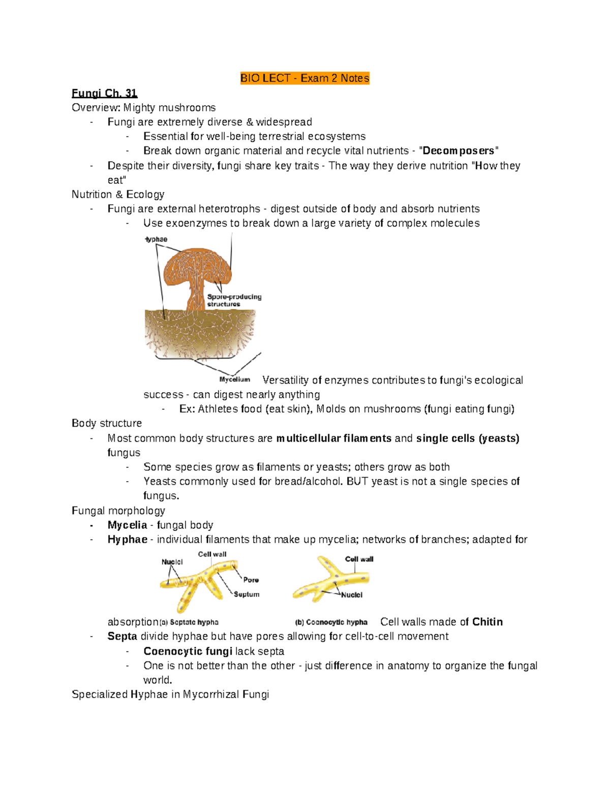 Bio 1407-Lecture Notes for Exam 2 - BIO LECT - Exam 2 Notes Fungi Ch ...