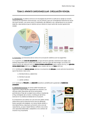 Tema 3 - Aparato Digestivo - Warning: TT: undefined function: 32 TEMA 3: FISIOLOGÍA DEL ...