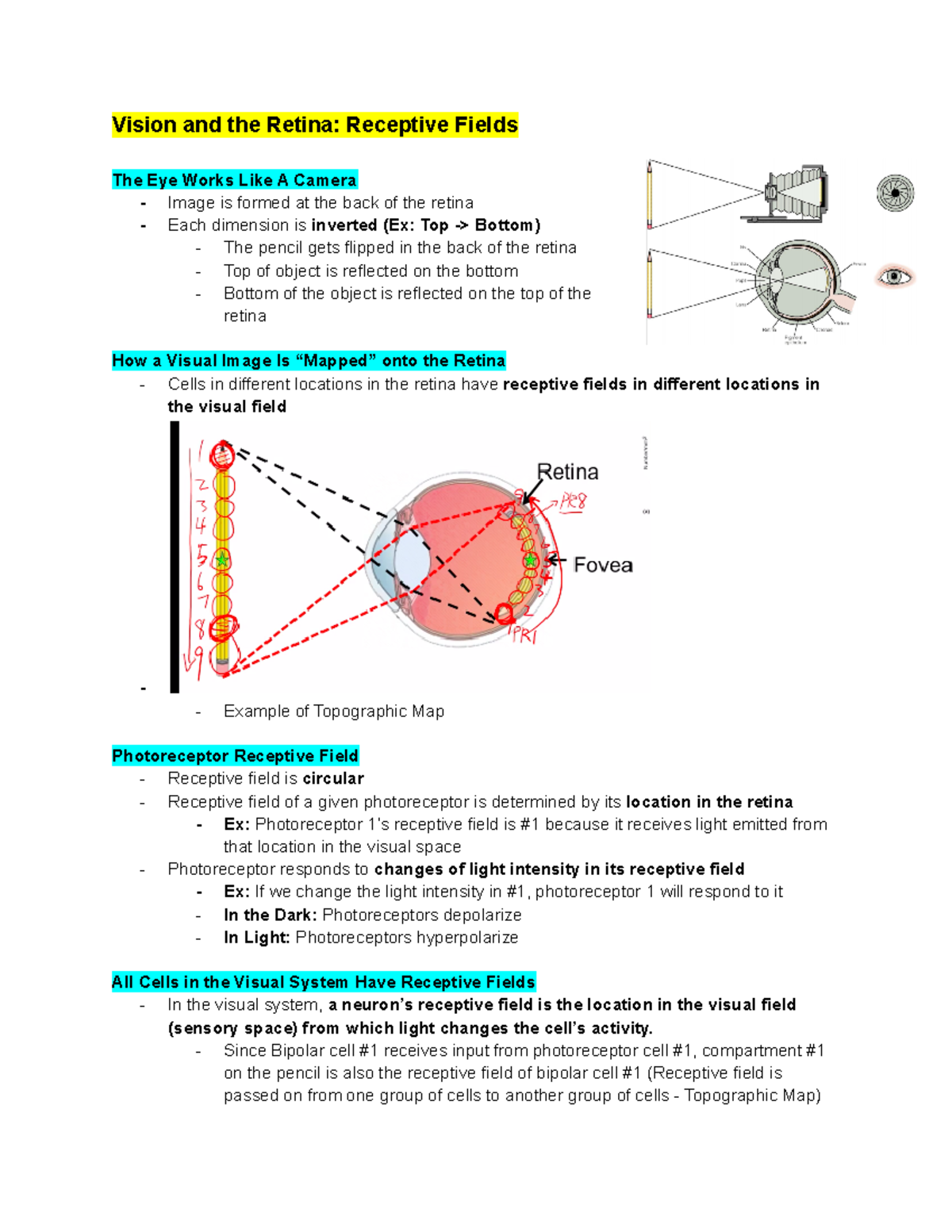 CBNS 106 Lec. 9 - Lecture notes 9 - Vision and the Retina: Receptive ...