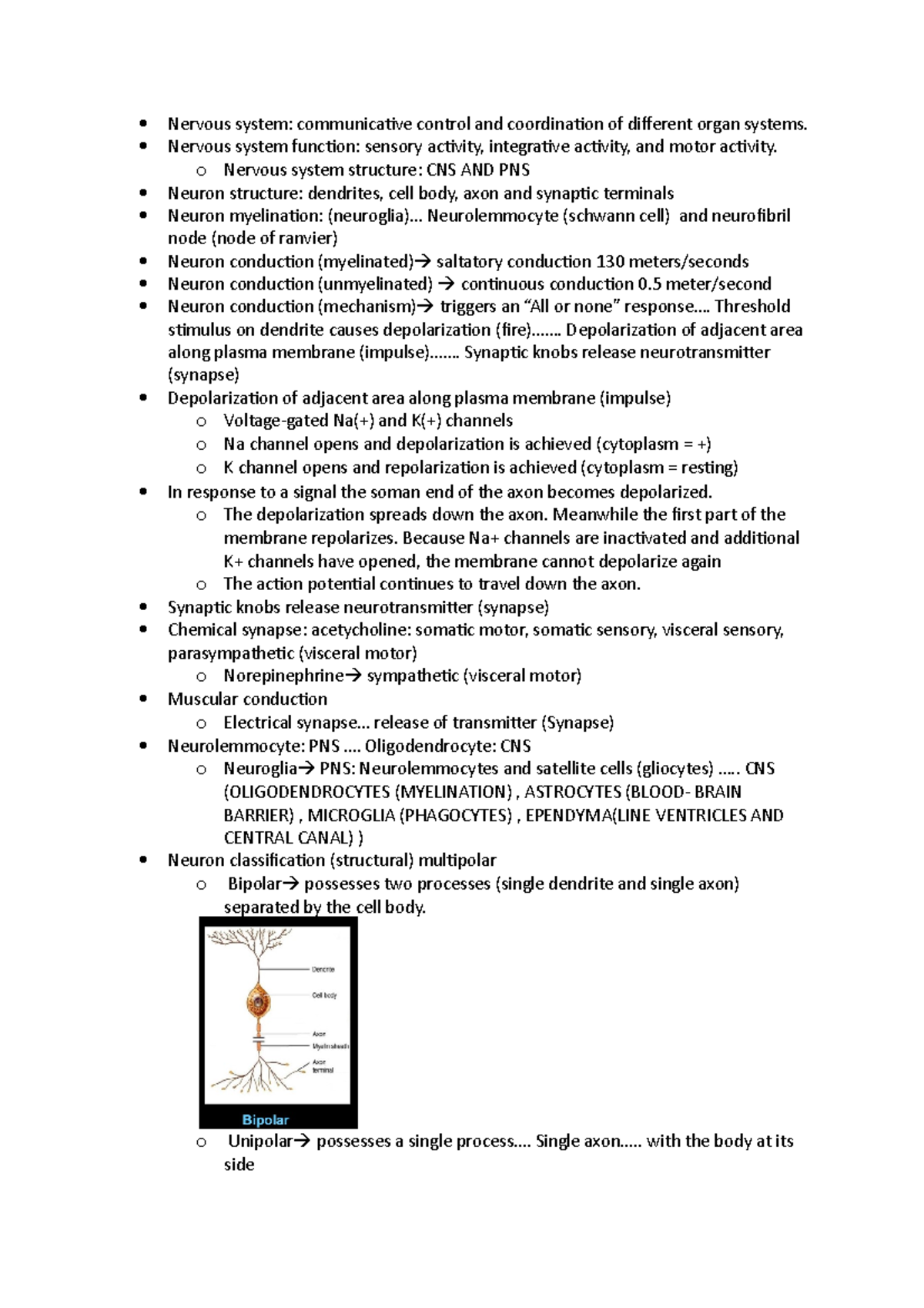 Nervous system - review - Nervous system: communicative control and ...