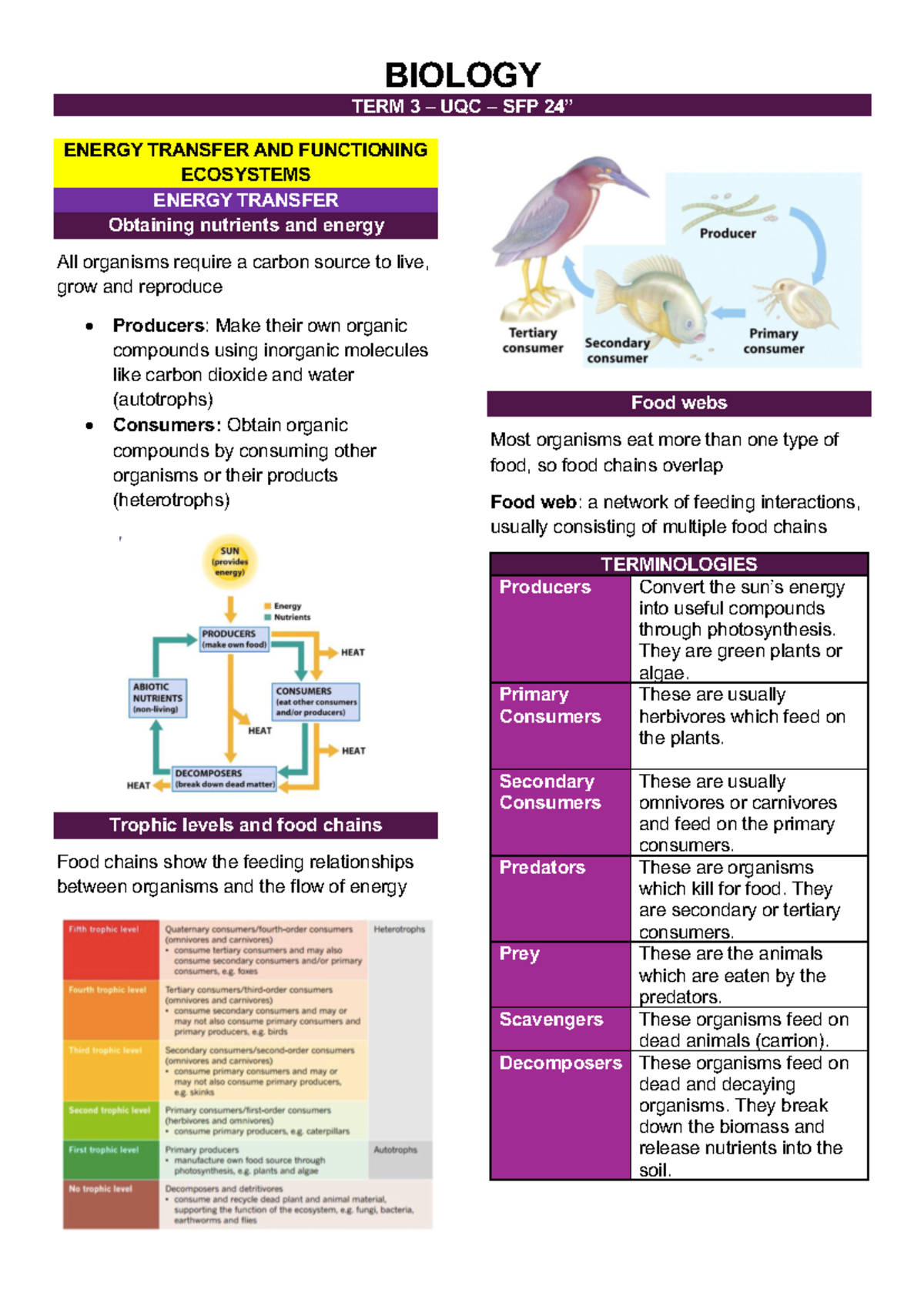Energy Transfer AND Functioning Ecosystems - BIOLOGY TERM 3 – UQC – SFP ...