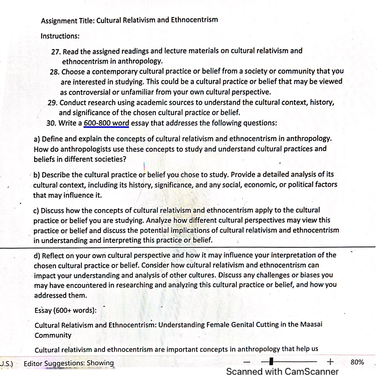 Essay Anthro - ANTH 100 - Studocu