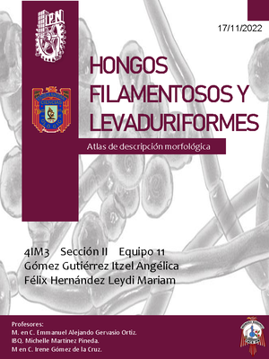 30-2004 Product Sheet - F-12K Medium (Kaighn's Modification of Ham's F ...