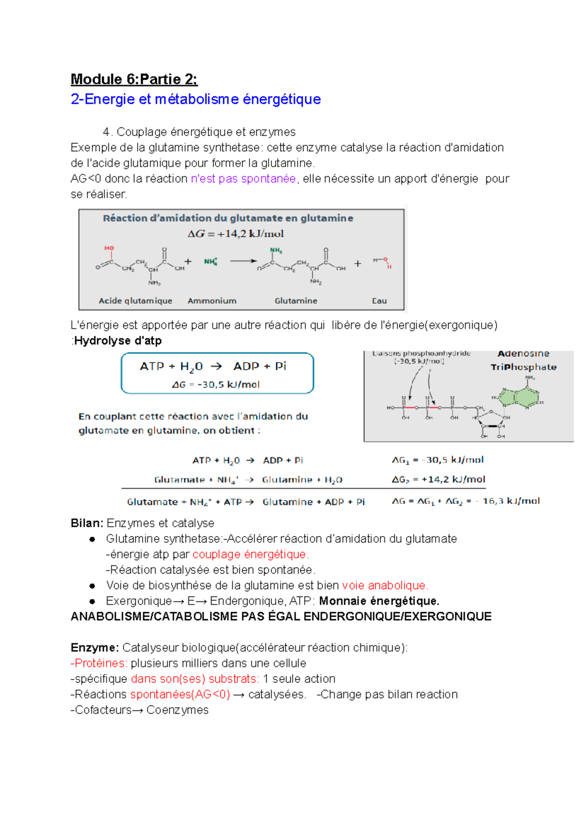 Module 6 Partie 2 - Module 6:Partie 2; 2-Energie et métabolisme énergétique 4. Couplage ...