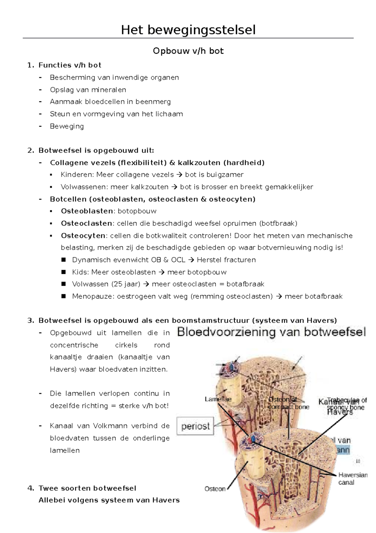 Bot, spier, kraakbeen en gewricht - Het bewegingsstelsel Opbouw v/h bot ...