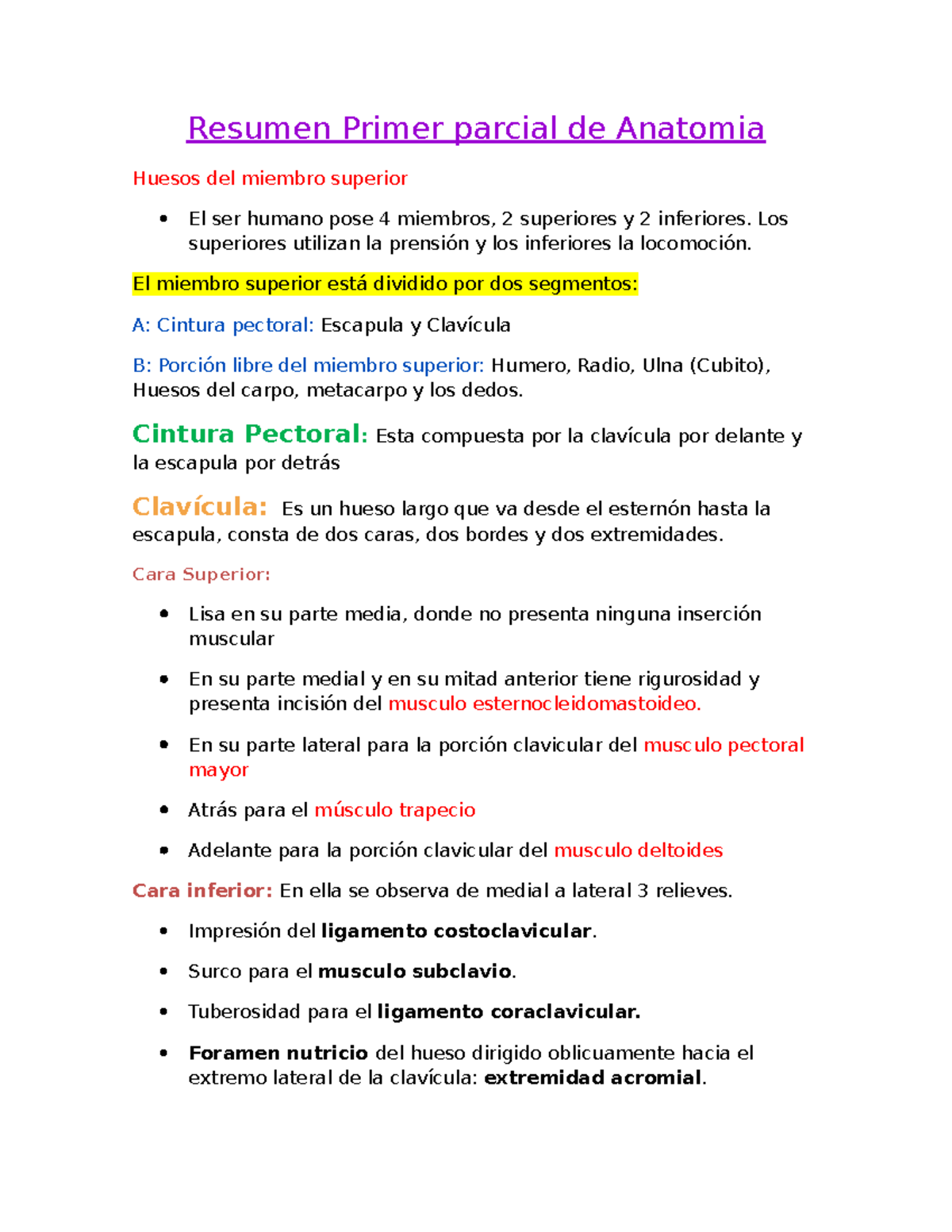 Parcial de Anatomia - Resumen Primer parcial de Anatomia Huesos del ...