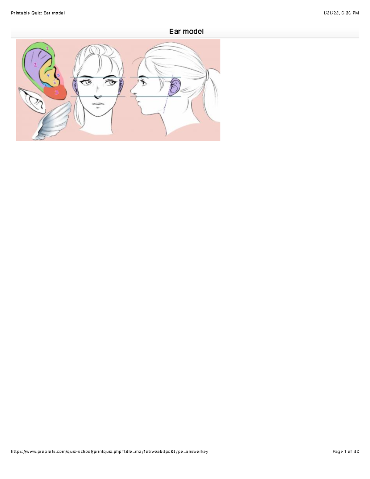 Ear model 2 - This is a practice quiz to help you be successful - Ear ...