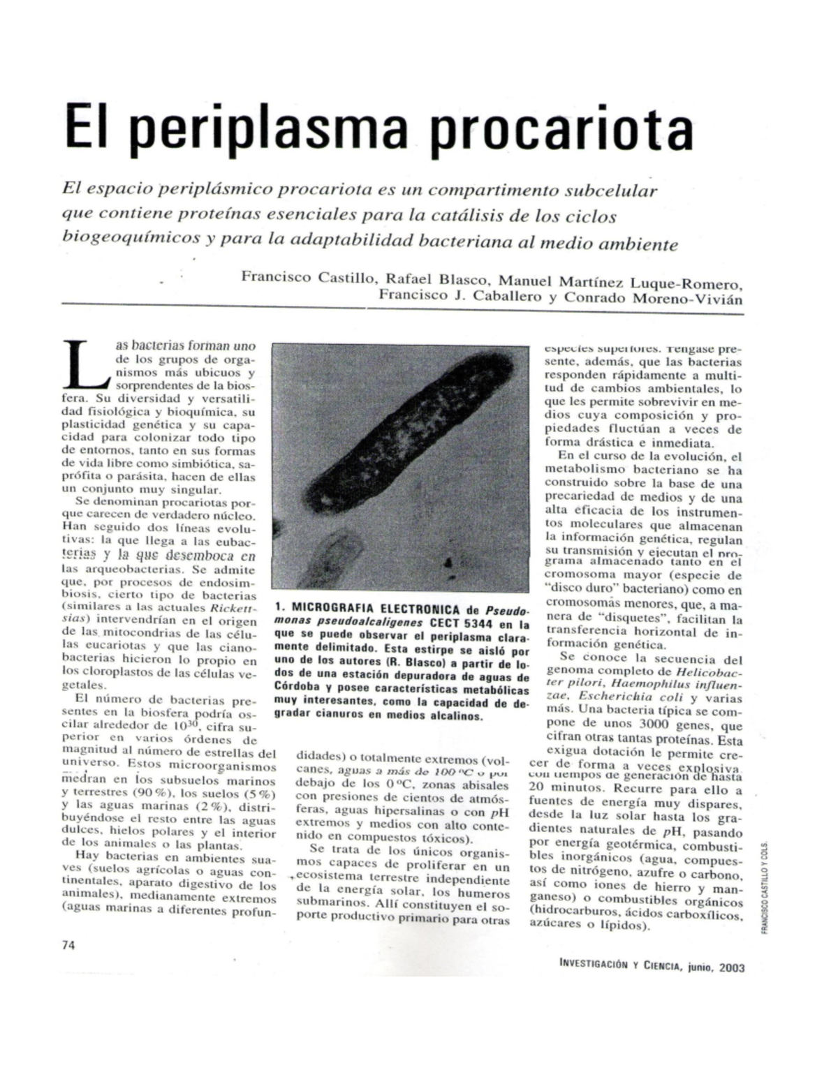 Articulo EL Periplasma Bacteriano 2003 - El periplasmaprocariota El ...