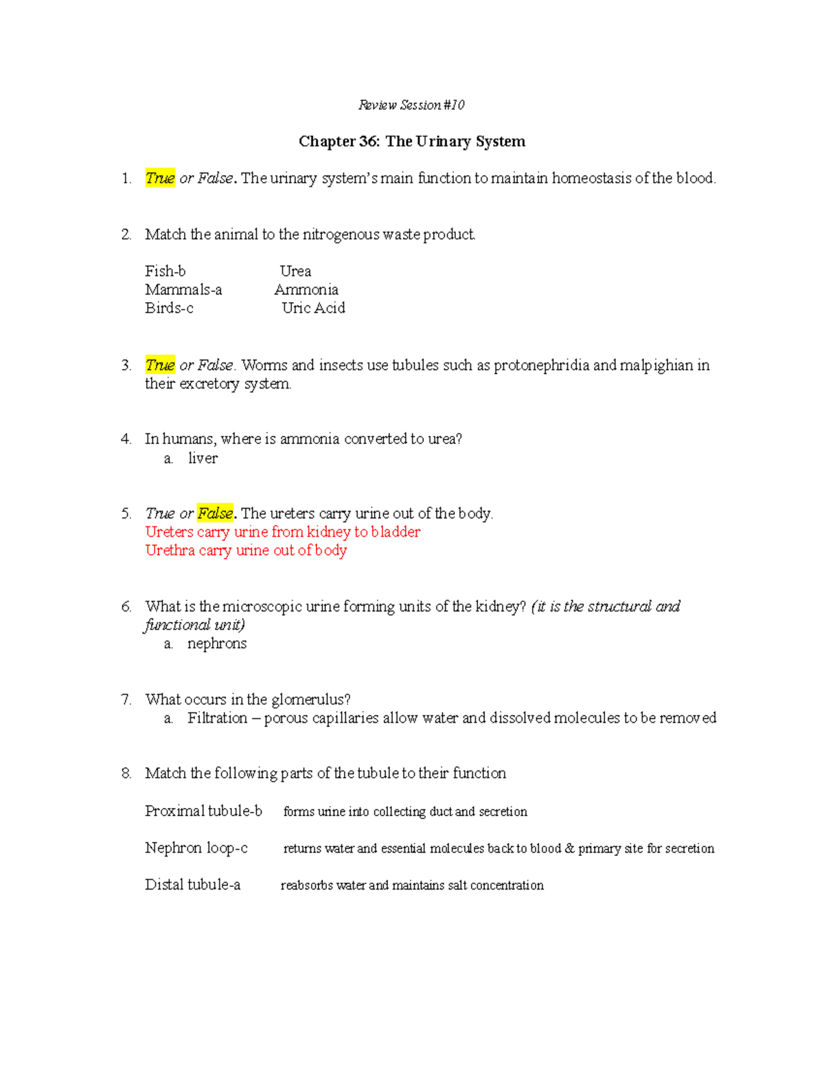 Review Session #10 - Chapter 36: The Urinary System - Review Session ...