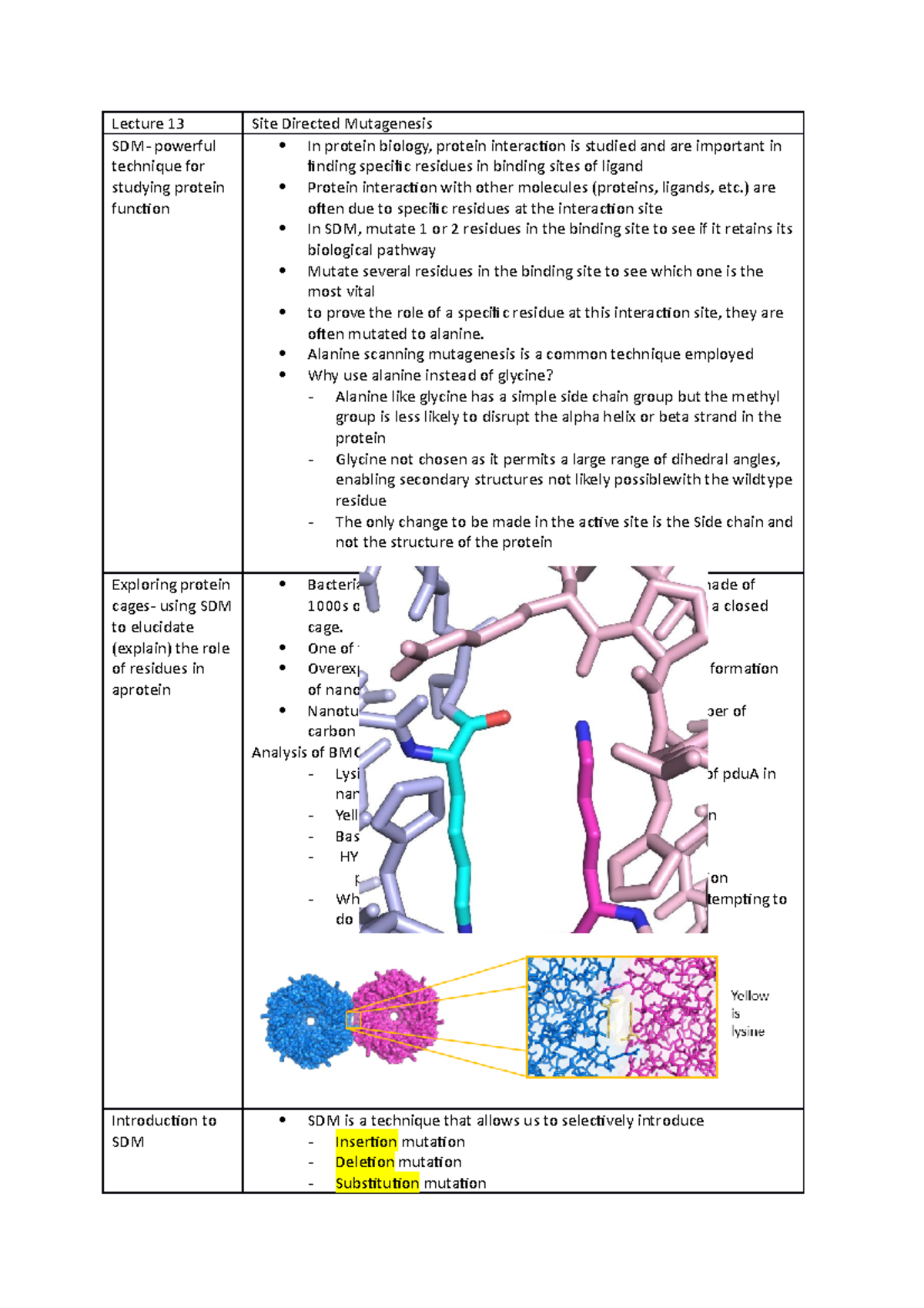 1. SDM Lecture Notes - Lecture 13 Site Directed Mutagenesis SDM ...