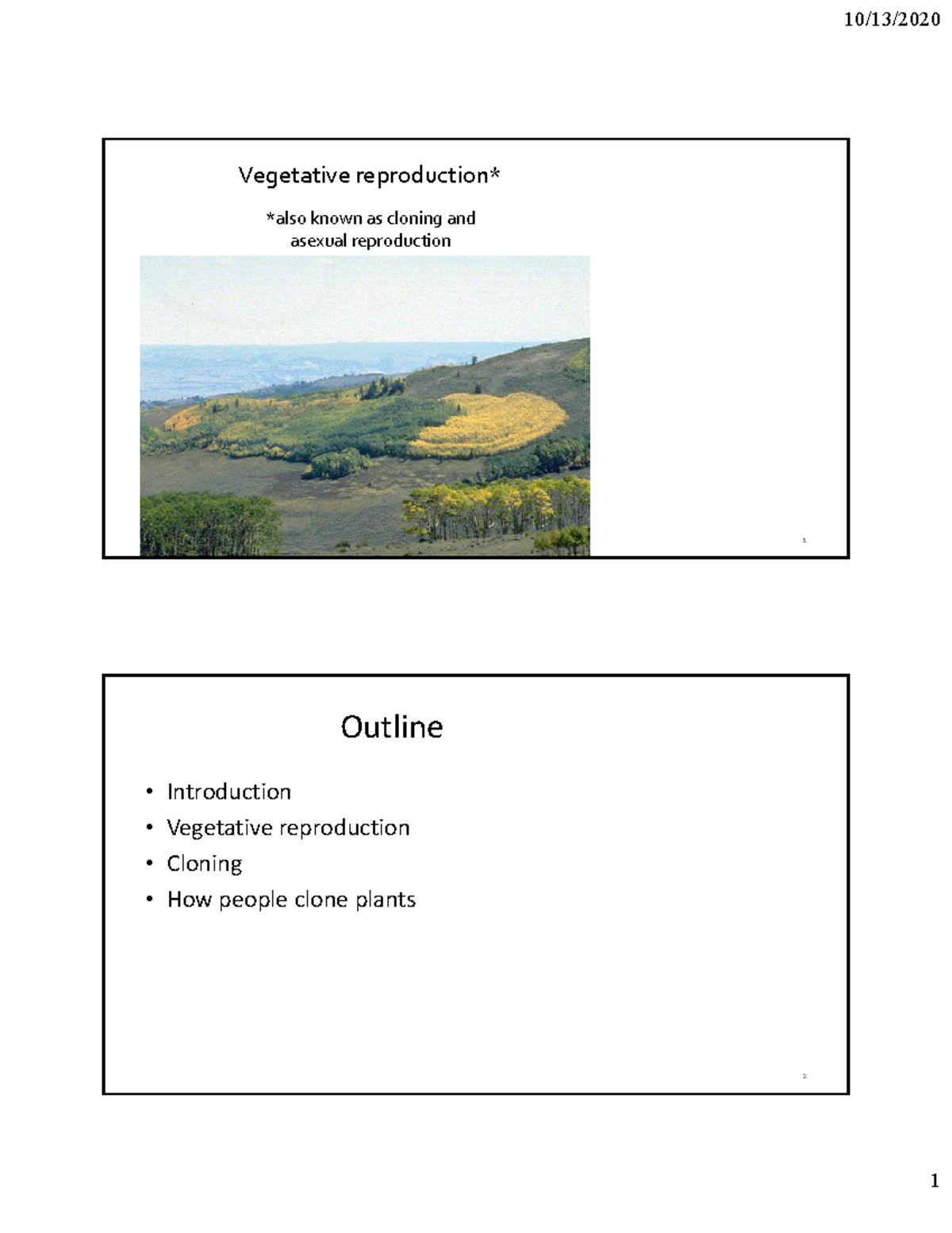 06 Vegetative propagation 202010 12 - Vegetative reproduction* *also ...