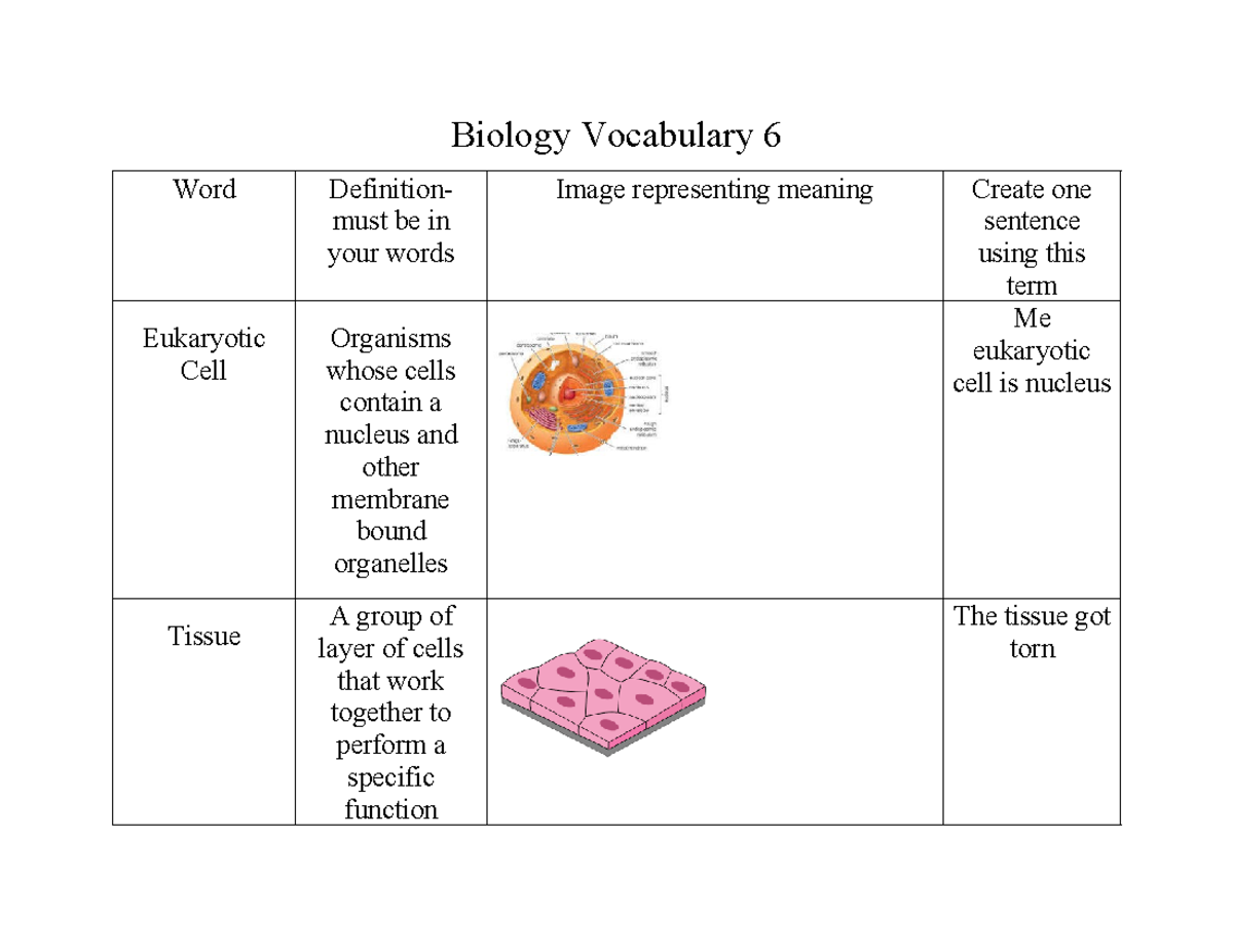 Biology Vocabulary Group 6 - Biology Vocabulary 6 Word Definition- must ...