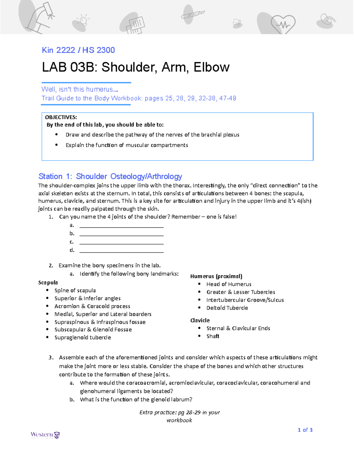 Kin2222 lab 3B - lab 3b - 1 of 3 Kin 2222 / HS 2300 LAB 03B: Shoulder, Arm, Elbow Well, isn’t ...