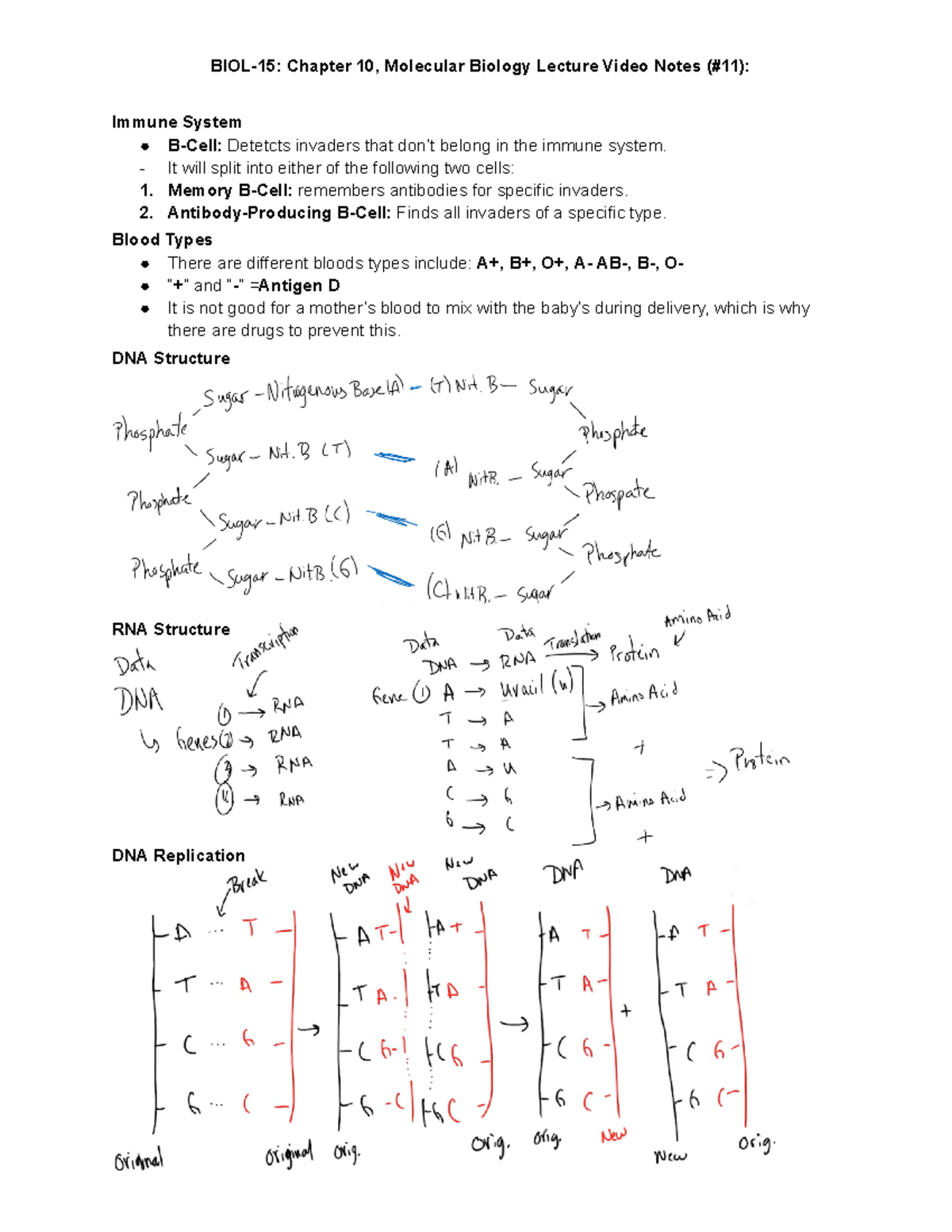 BIOL-15 Chapter 10, Molecular Biology Lecture Video Notes (#11) - BIOL ...