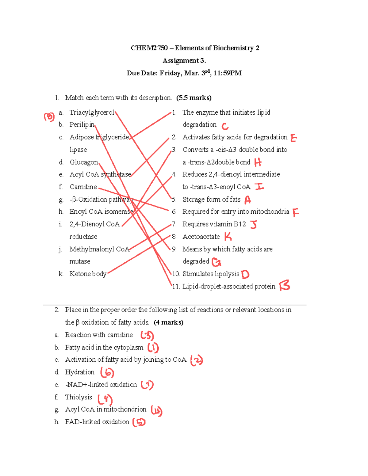 CHEM2750 - Assignment - ####### CHEM2750 – Elements of Biochemistry 2 ...