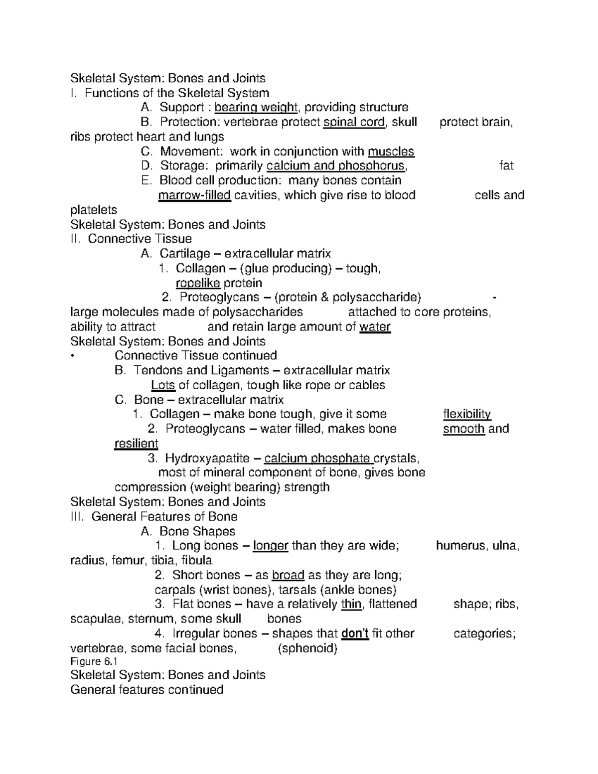 BIOL109 Ch6A Lecture Notes Skeletal System Bones And Joints I