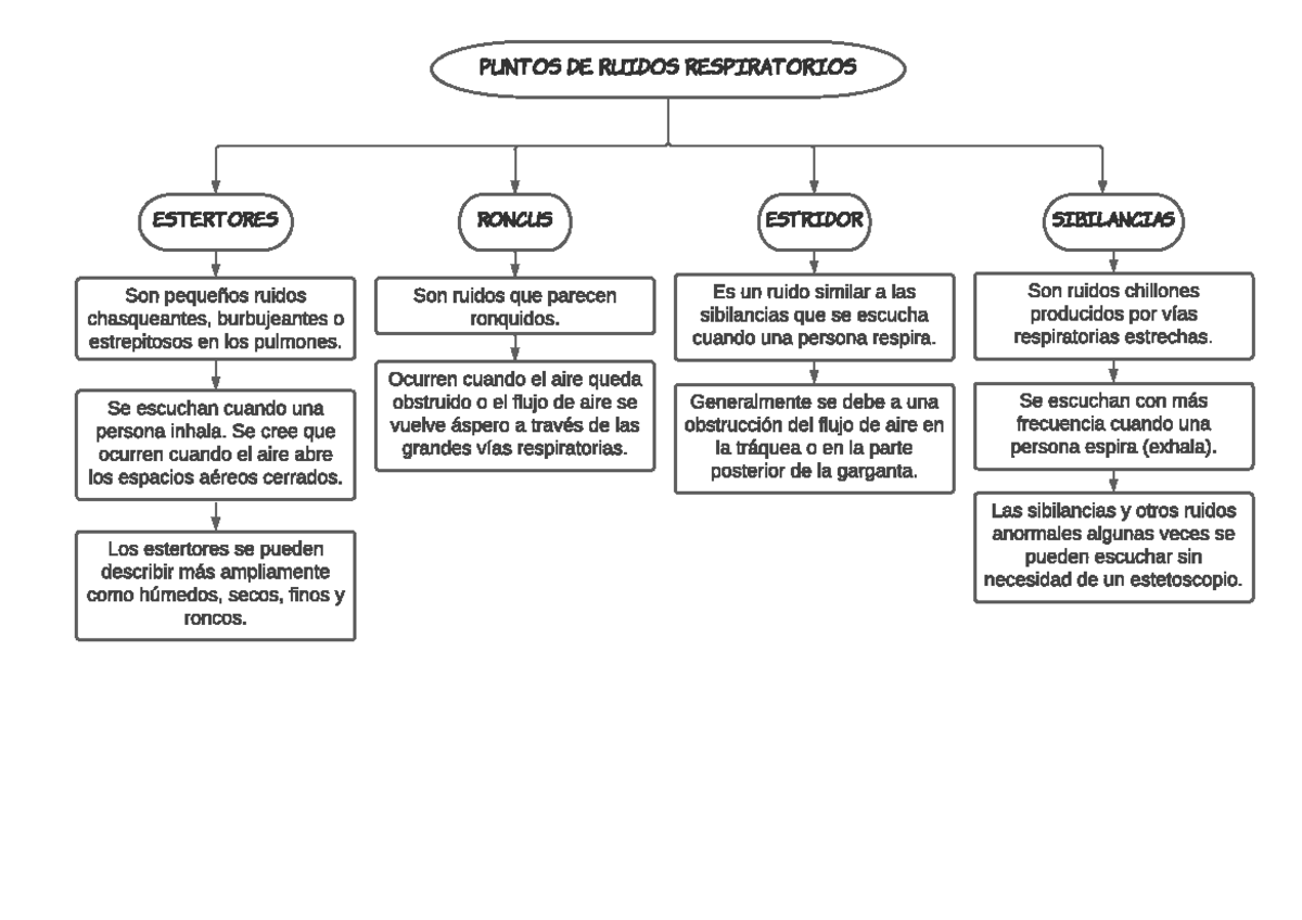 Puntos de ruidos Respiratorios - pu n t o s de r u i do s r e s pi r at ...