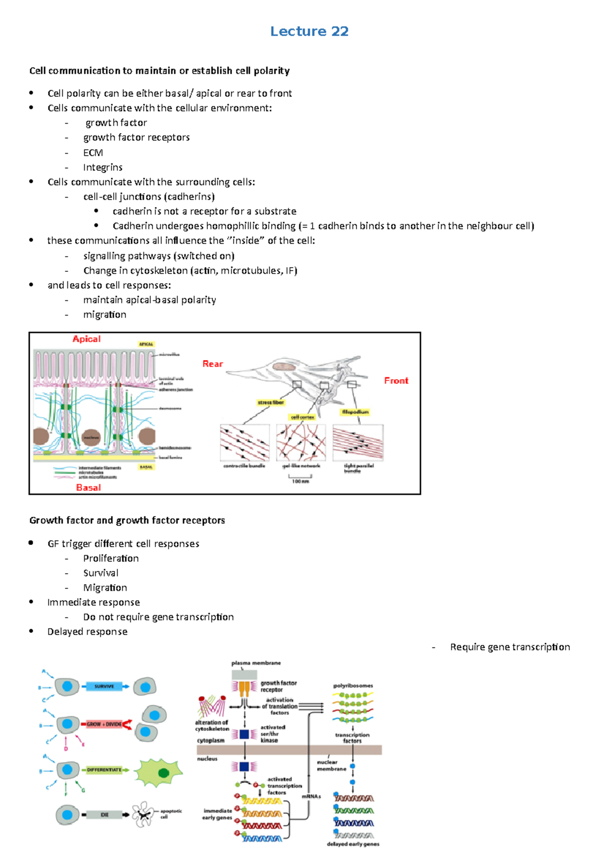9. Lecture 22 Notes - Lecture 22 Cell communicaion to maintain or ...