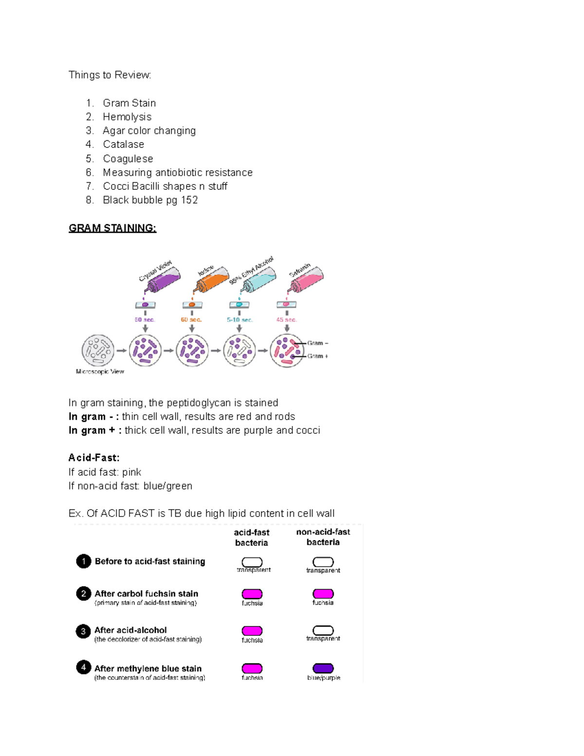 Study Guide Micro Practical - Things to Review: 1. Gram Stain 2 ...