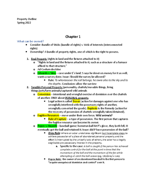 Property Attack Outline - Concept of Ownership Right to Possess and Use ...