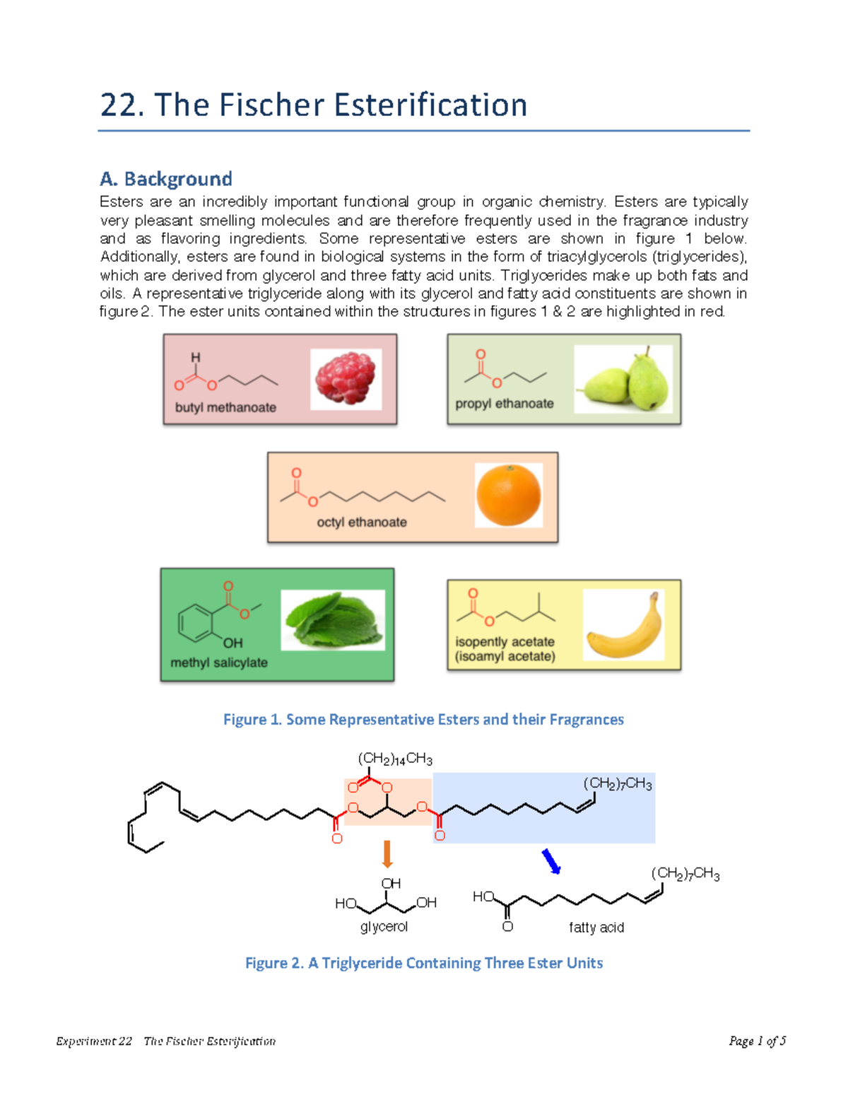 Exp 22 Fischer Esterification 2017 - 22. The Fischer Esterification A ...