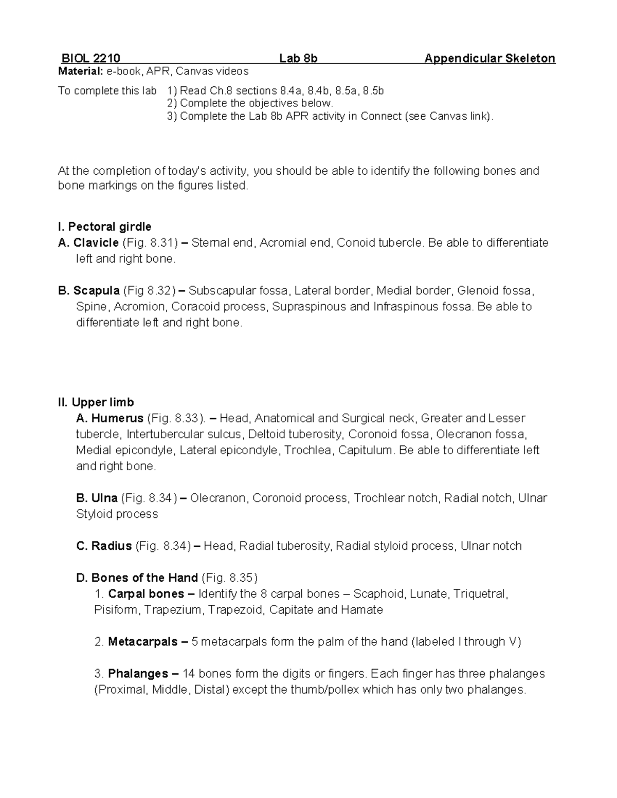 Lab 8B Appendicular Skeleton (instructions) - BIOL 2210 Lab 8b ...