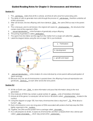 CH 5 Notes Sections 5 - Homework questions - Guided Reading Notes for ...