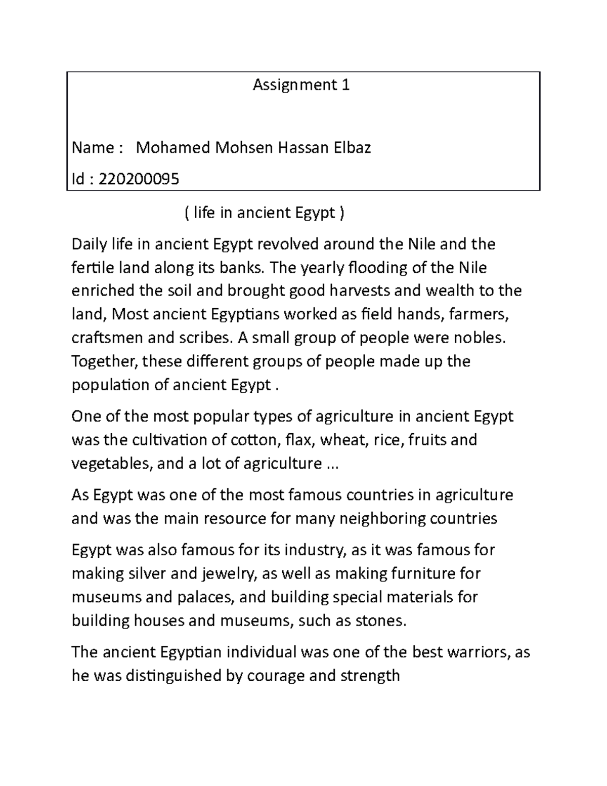 Assignment ( life in egypt ) mg of chicken soup - Assignment 1 Name ...