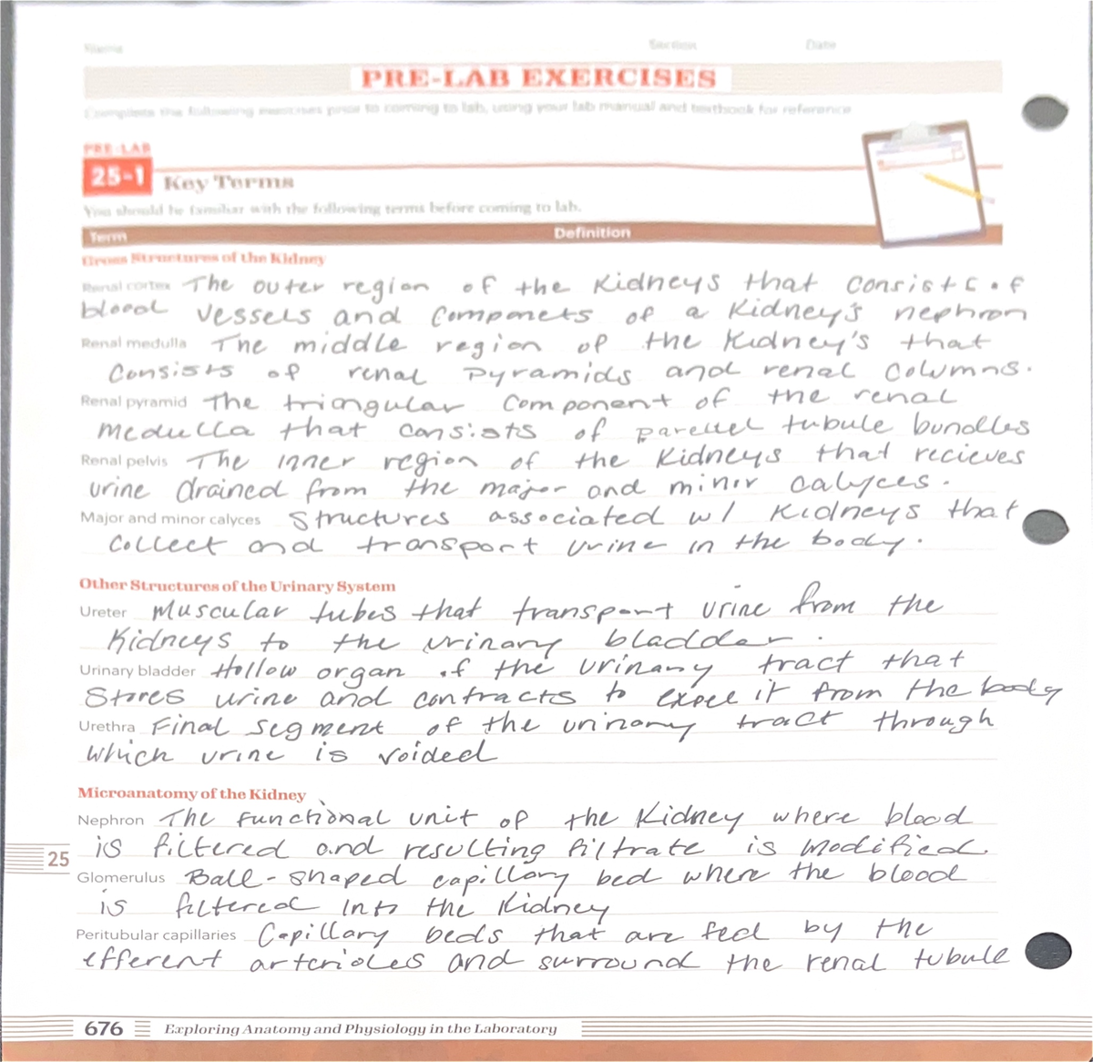 Lab Ex. 25 - Lab Understanding and Recall Questions - Section Date ...