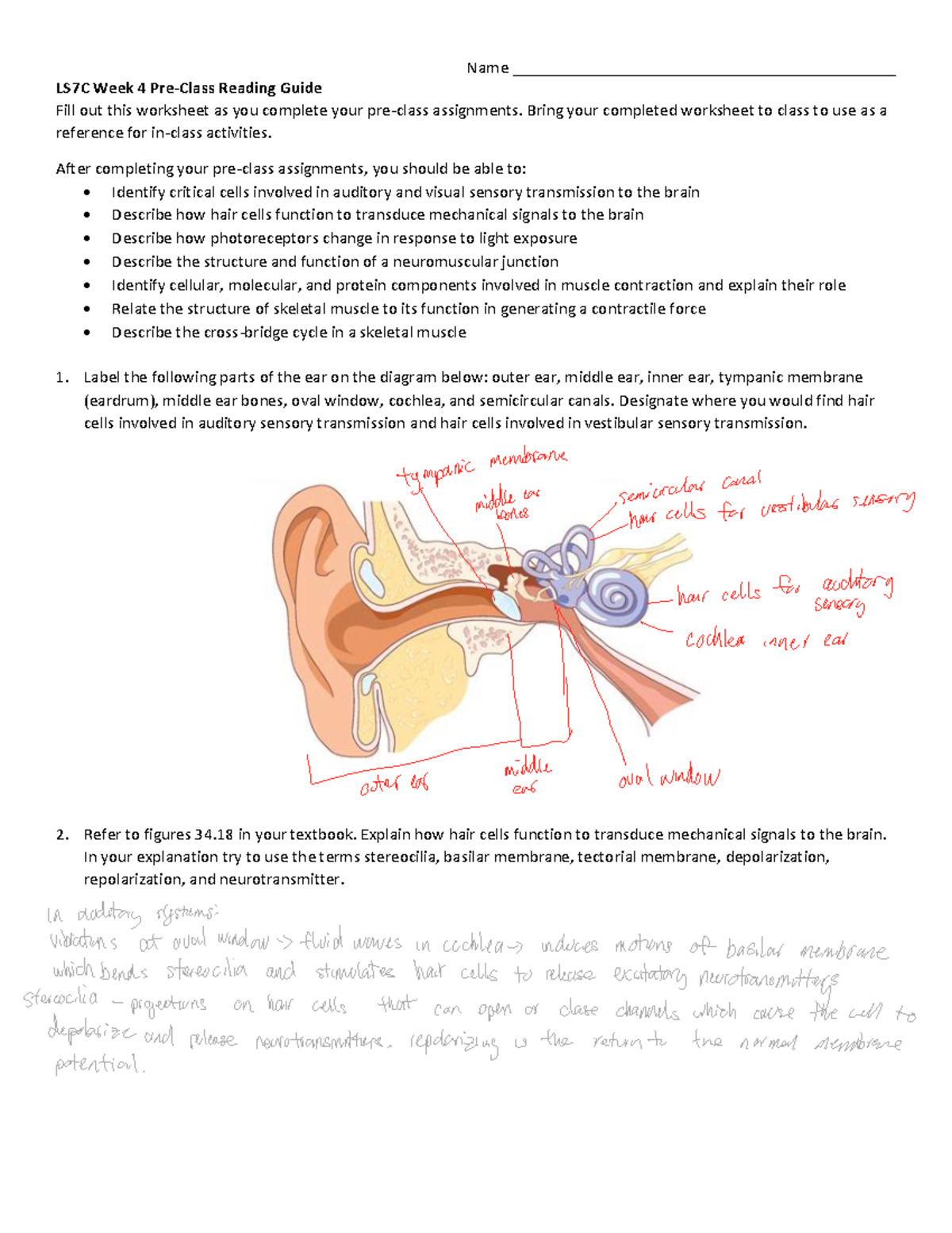 LS7C Week 4 Pre Class Reading Guide - Name ...