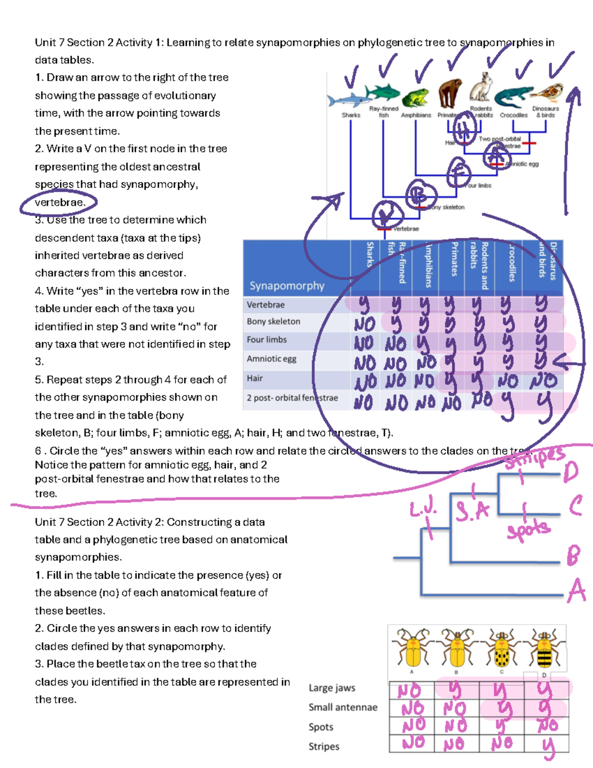 Unit 7 Sections 2 And 3 Gradescope - Unit 7 Section 2 Activity 1: Learning to relate ...