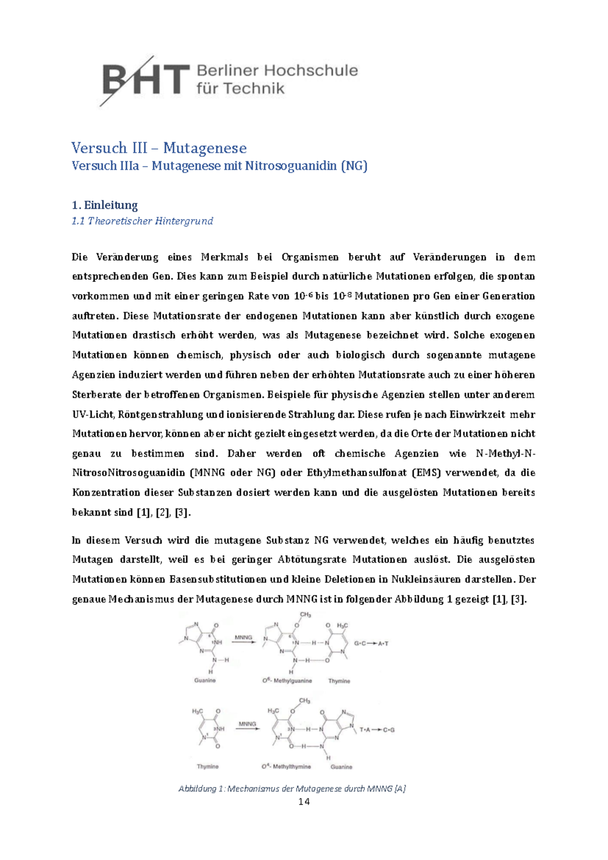 GM Kurs 1 SS 2022 Mutagenese mit NG Studocu - Versuch III – Mutagenese Versuch IIIa – Mutagenese ...