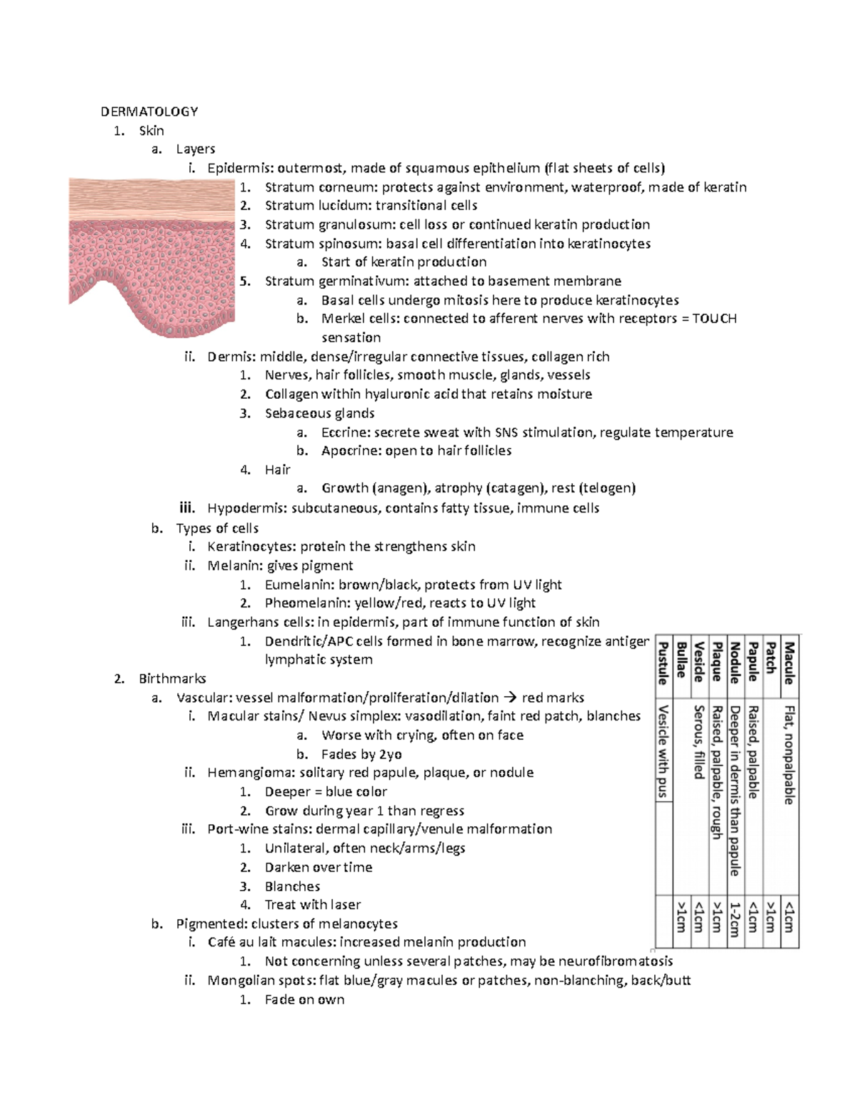 Week 13 Derm - derm integumentary chapter notes - DERMATOLOGY Skin a ...
