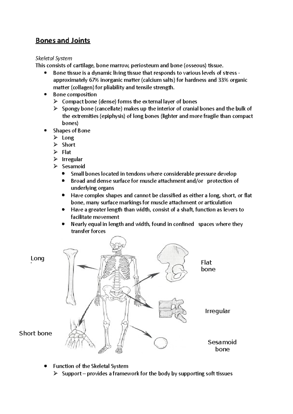 Skeletal System - Physiology - Bones and Joints Skeletal System This ...