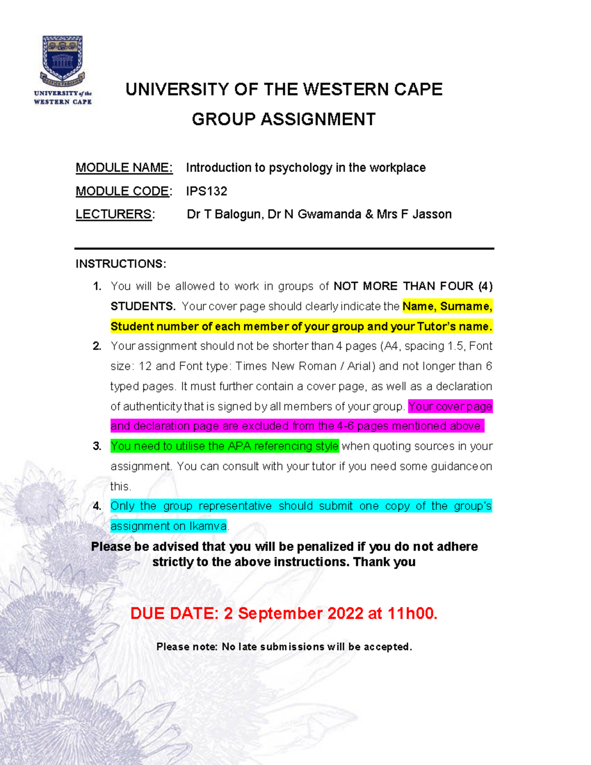 Group Assignment, IPS132 2022 - UNIVERSITY OF THE WESTERN CAPE GROUP ...