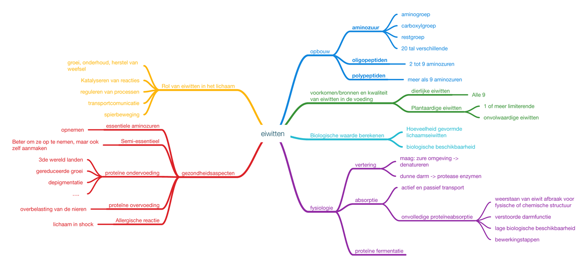 Mindmap: hoofdstuk Eiwitten - eiwitten opbouw aminozuur aminogroep carboxylgroep restgroep 20 ...