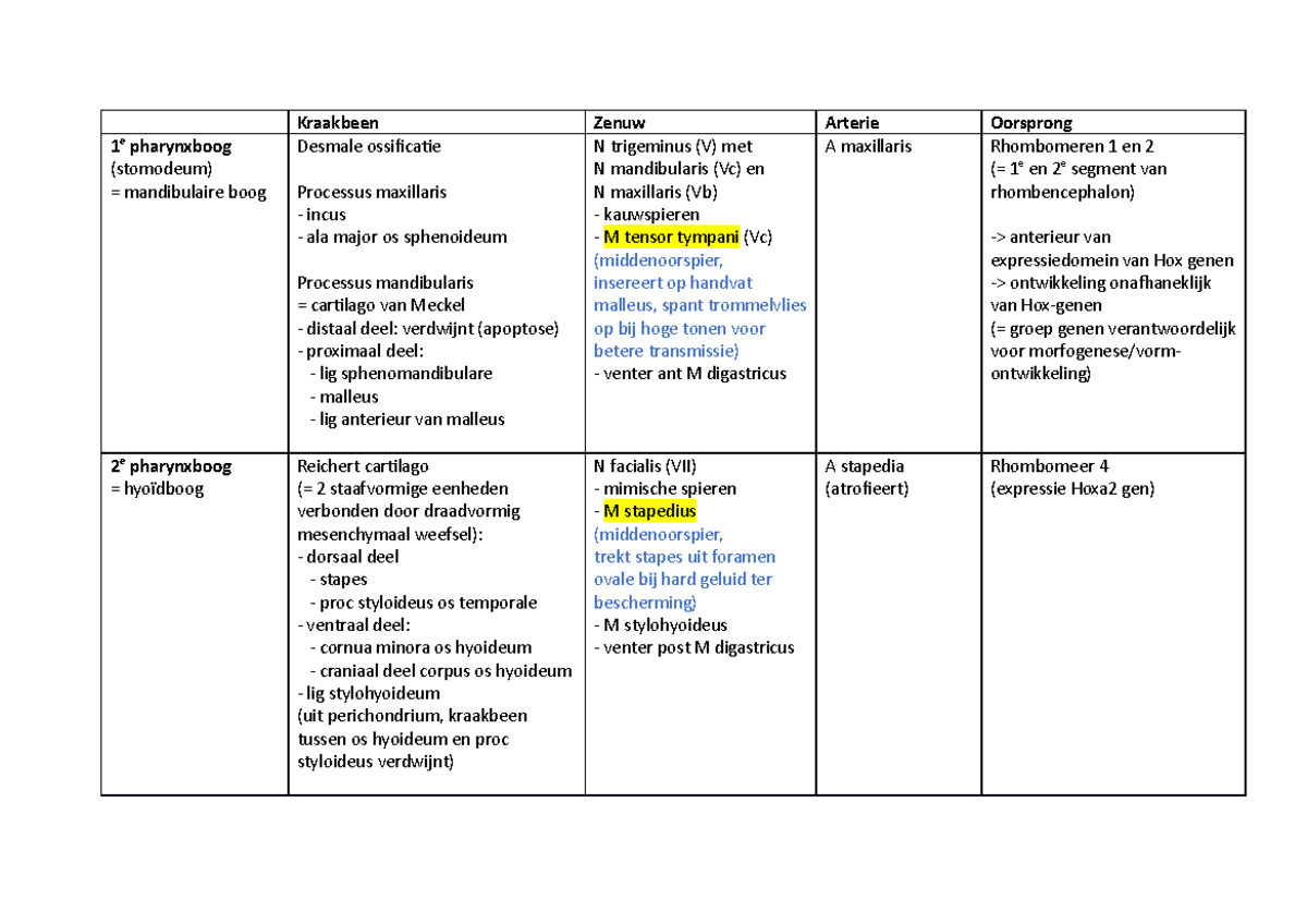 Embryologie hoofdstuk 1 pharynxbogen, -groeven, -zakjes - Kraakbeen ...