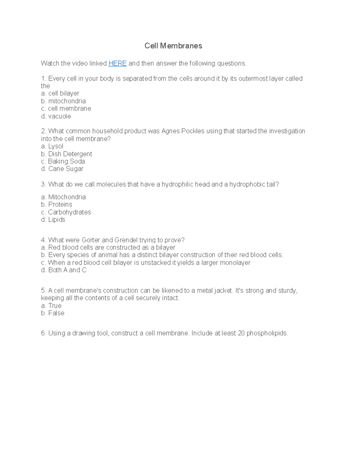 Cell+Membranes+Introduction+Video+and+Questions - Cell Membranes Watch ...