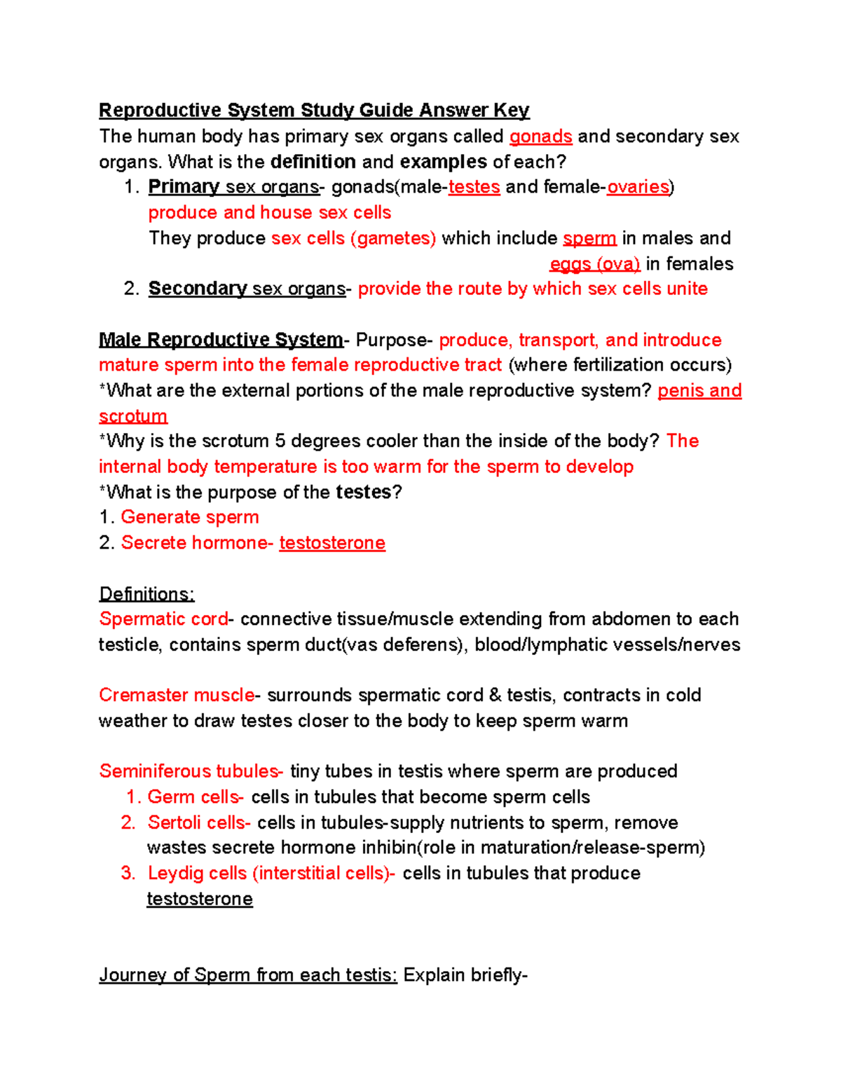 #23+Answer+Key+Study+Guide-Reproductive+System+ - Reproductive System ...