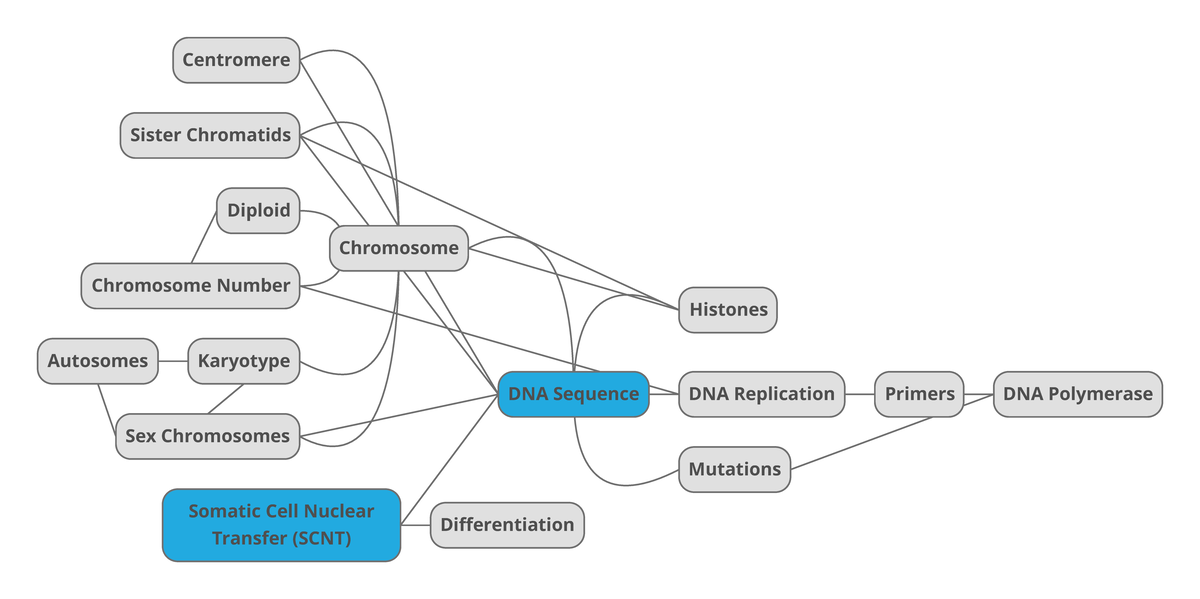 BIO Concept Map Ch. 7 - BIO 189 - Somatic Cell NuclearTransfer (SCNT ...