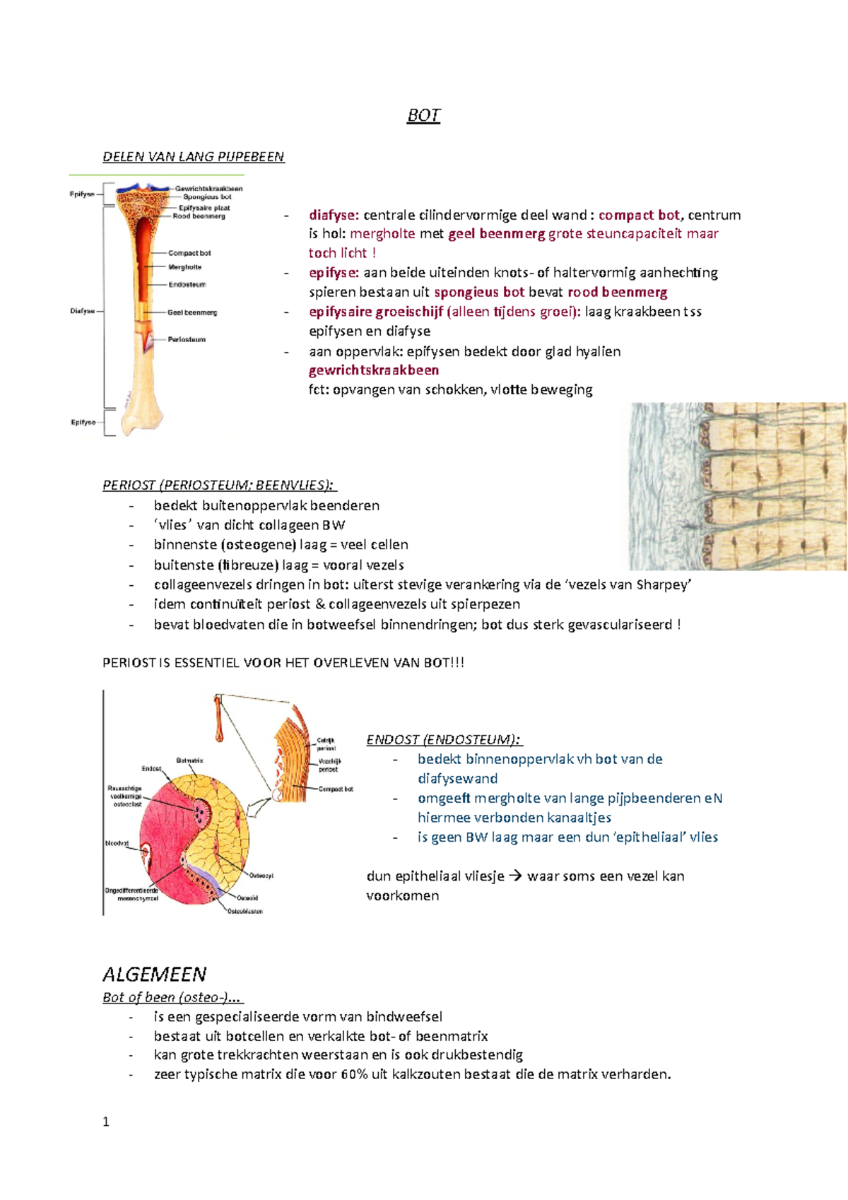 BOT - Uit de les met extra uitleg uit syllabus - BOT DELEN VAN LANG ...