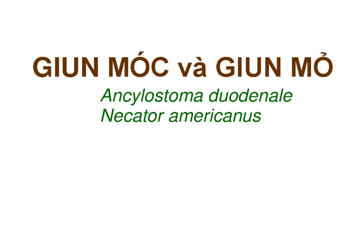 3. Giun moc-mo - fđgege - GIUN MÓC và GIUN MỎ Ancylostoma duodenale ...