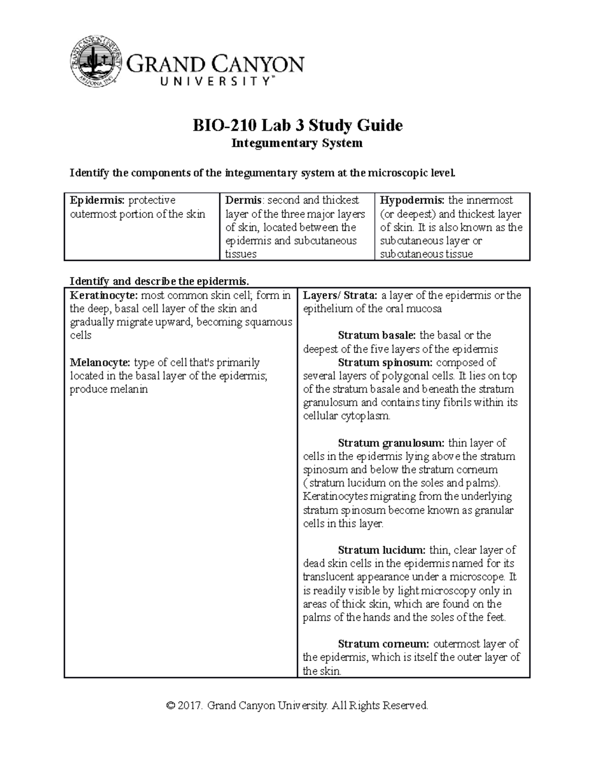 BIO-210L-Lab3 Integument - BIO-210 Lab 3 Study Guide Integumentary ...