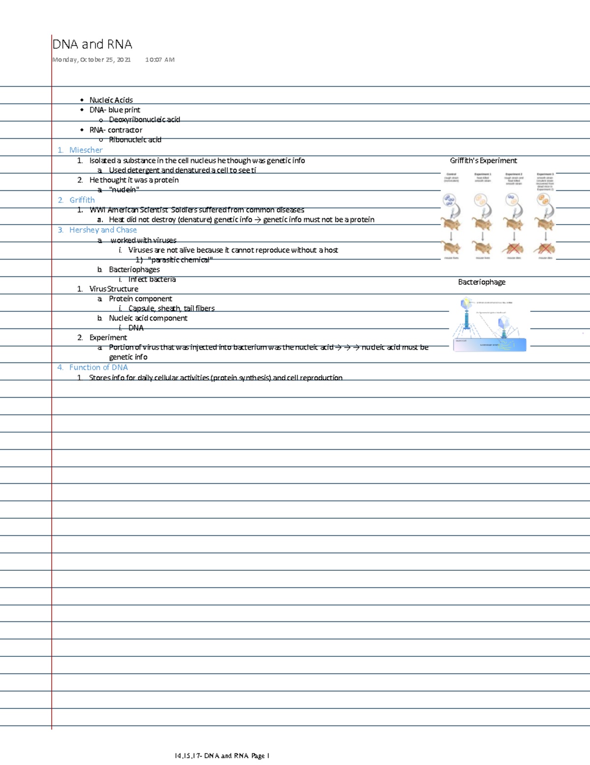 14,15,17- DNA and RNA - In class lecture notes from Professor Rothering ...