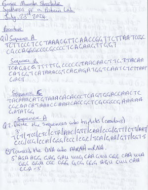 Human-Cheek-Cell diagram - Human Cheek Cell Station To view cheek cells ...