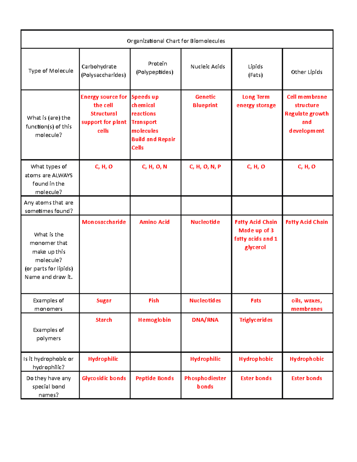 Organic Molecules worksheet - Organizational Chart for Biomolecules ...