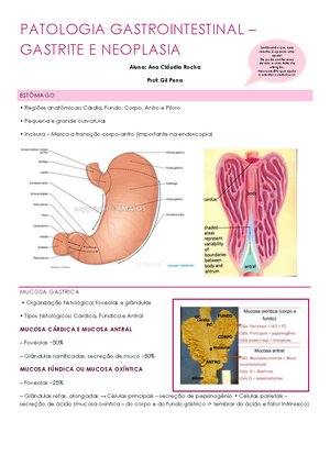 Cardio 2 - Resumo anatopato - Warning: TT: undefined function: 32 Warning: TT: undefined ...